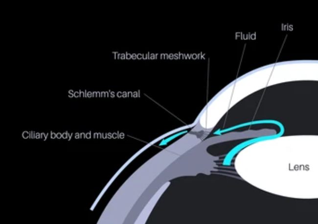 Understanding Eye Pressure Numbers – What Do They Actually Mean?